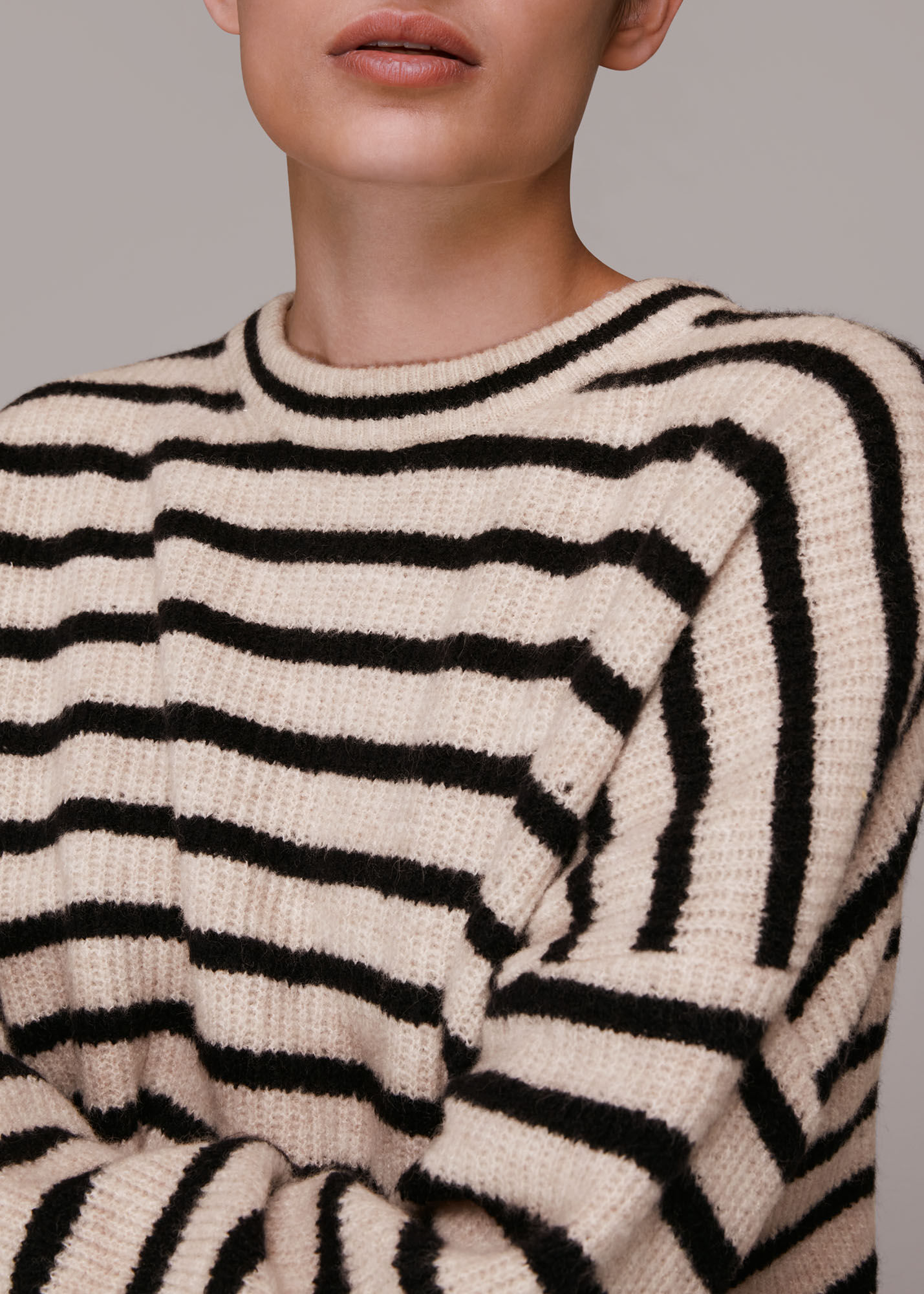 Black/Multi Stripe Ribbed Crew Neck Jumper | WHISTLES