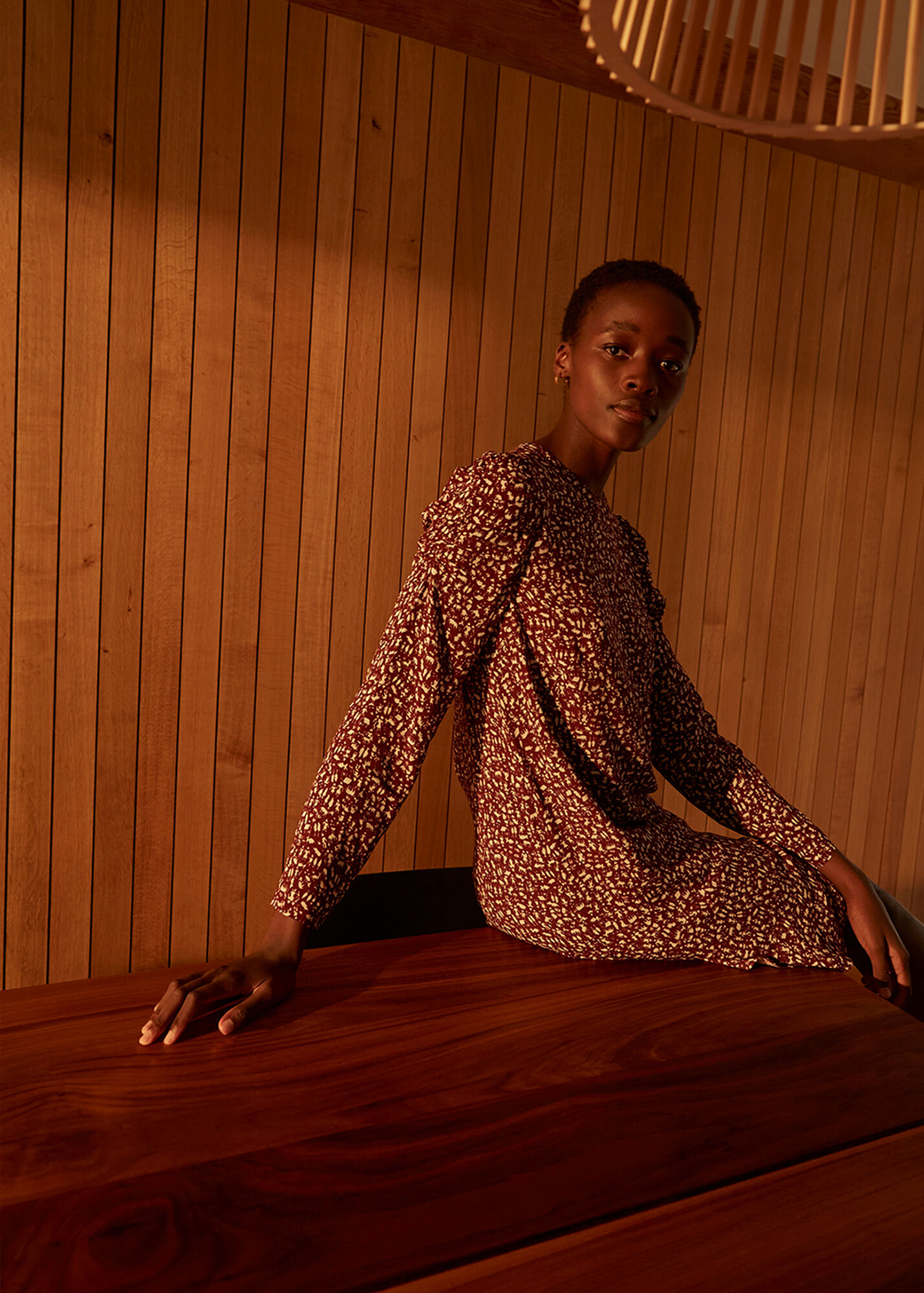 Burgundy People Print Georgina Dress | WHISTLES | Whistles UK